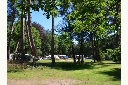 Camping Ommerland met eigen manege met paardenstalling VMP088